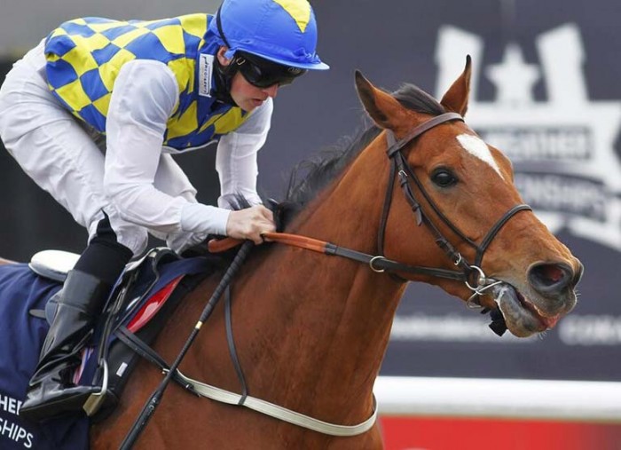 About John Ryan Racing | Newmarket racehorse trainer UK